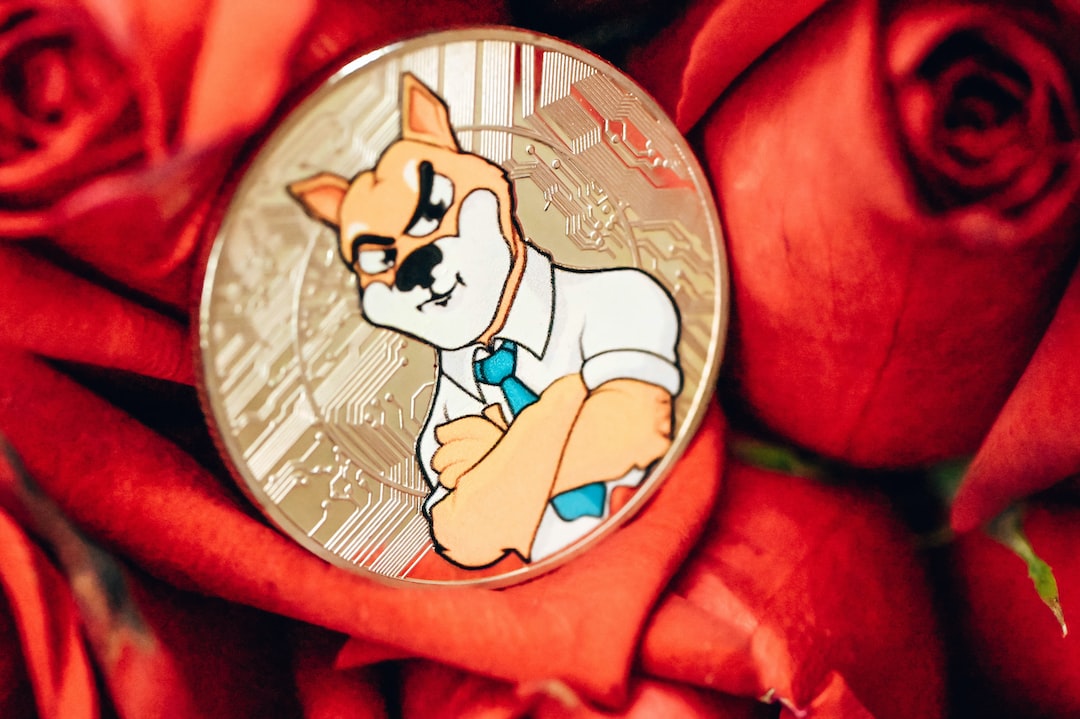 How to link international forex card to paypal? – Forex Academy